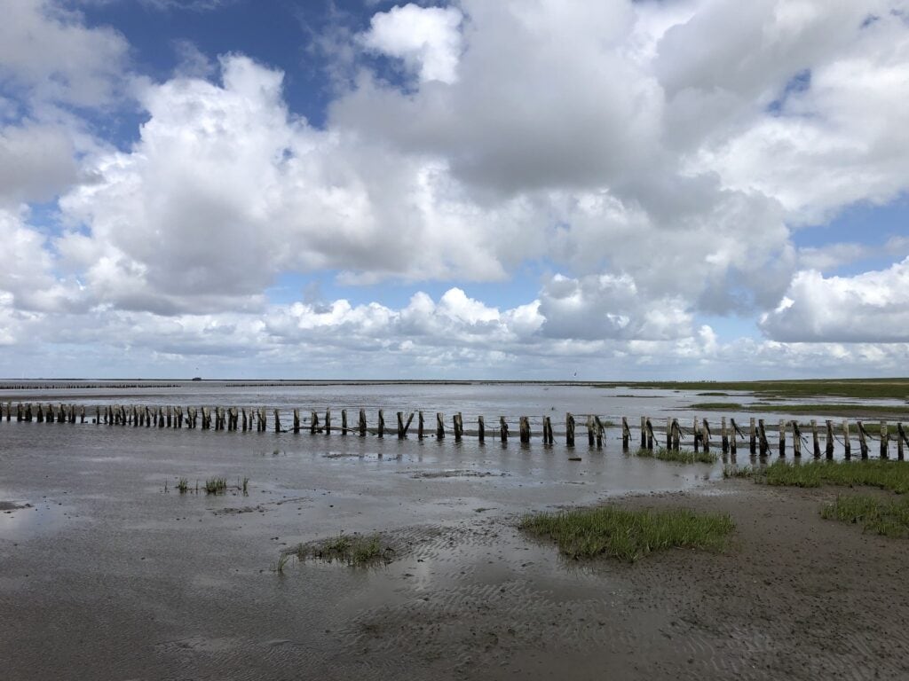 Guide til Ribe og Vadehavet: Historiske Seværdigheder, Farverige Gader ...